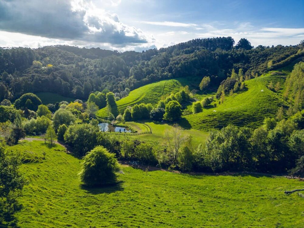 House and Land Package Clevedon, Auckland | Cambridge Homes